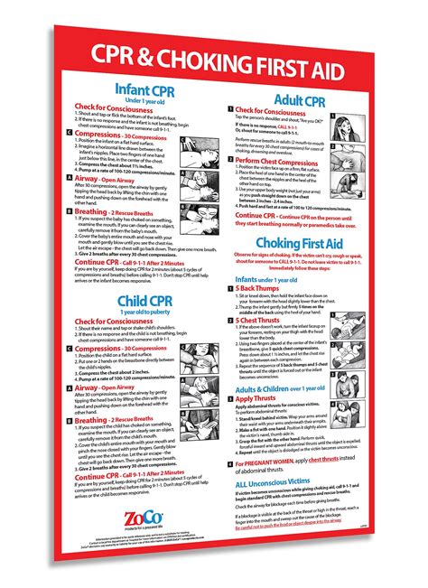 Safety Magnets Cpr And Choking Poster For Infant Child Adult | Desertcart SINGAPORE