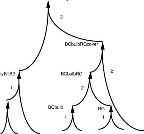 The Optimum Assembly Plan Download Scientific Diagram