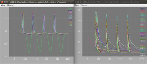 github openworm c302 the c302 framework for generating multiscale