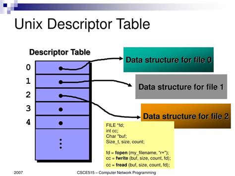 Ppt Csce 515 Computer Network Programming Socket Powerpoint