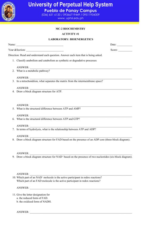 Bioenergetics Activity Sheet Biochemistry Questions