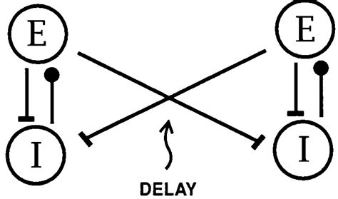 A Simple Circuit For Investigating Synchronization Across Distances Download Scientific