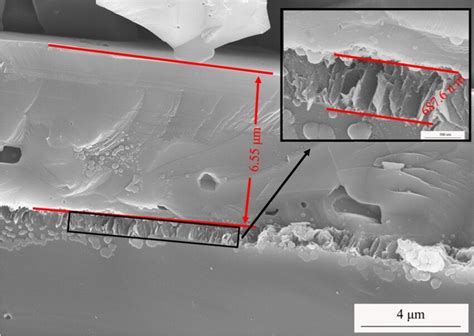 Sem Image Of Diamond Graphitization At The Interface Download Scientific Diagram