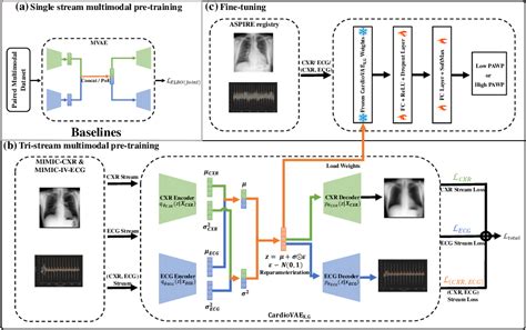 Multimodal Variational Autoencoder For Low Cost Cardiac Hemodynamics