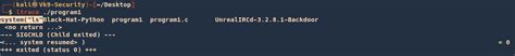 C Exploiting System Calls In C And Command Injection Vk9 Security