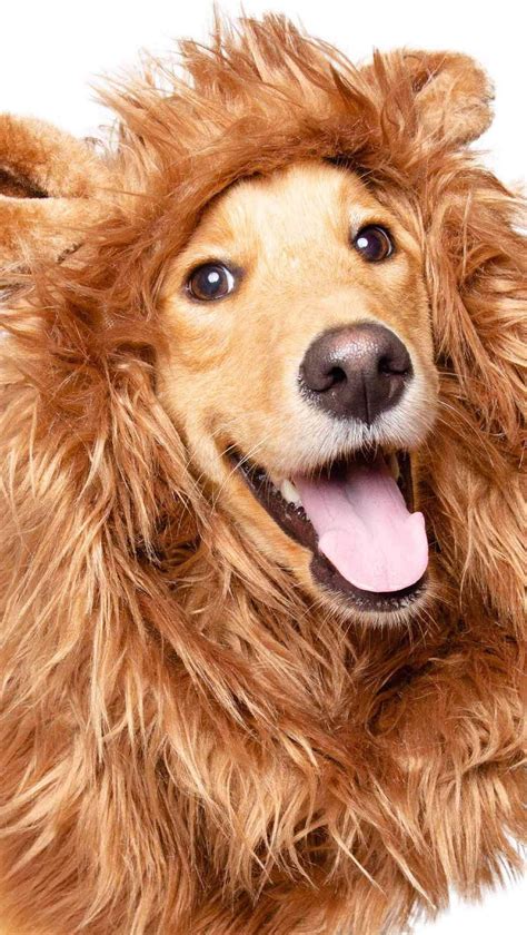 Sunshine Corner Thesunshinecorner • Instagram Photos And Videos