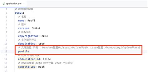 在 Linux 服务器上部署 RuoYi Vue 336 开发喵星球
