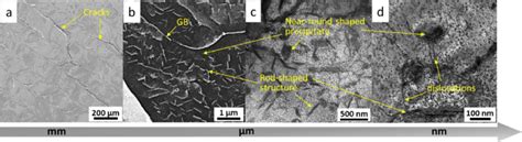 Heterogeneous Microstructure Of A Lpbf Produced Dcr W5re A A