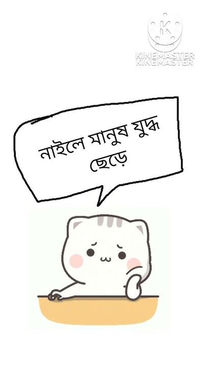 Funny Video Shorts কিট কেট Youtube