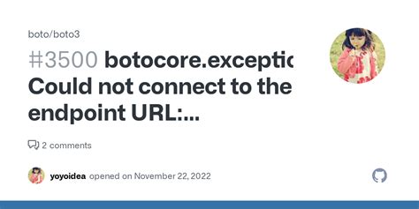 Botocoreexceptionsendpointconnectionerror Could Not Connect To The Endpoint Url
