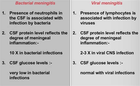 Lecture 26 Mucosal Flashcards Quizlet