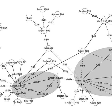 Above And Following Page Bacterial Community Network Interaction