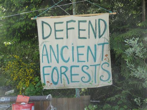 Beyond Fairy Creek Sid Tafler