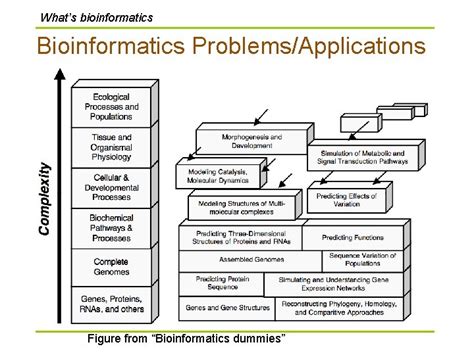overview of i 519 introduction to bioinformatics structure