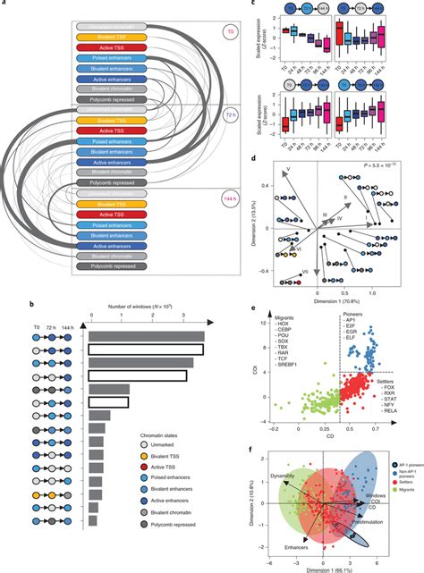 A Dynamic Enhancer Programme Shapes The Senescence Transcriptome A Arc Download Scientific