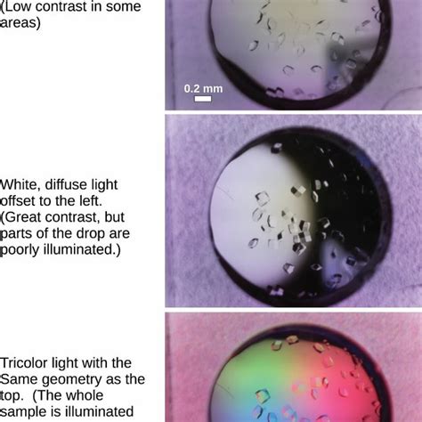 Pi Controller Block Diagram Download Scientific Diagram