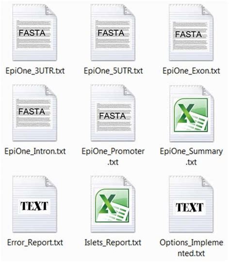 File Types And Files Of Result Folder Download Scientific Diagram