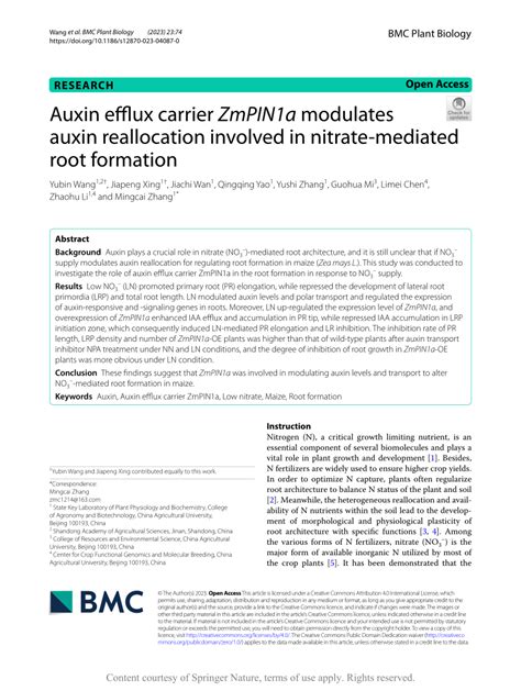 Pdf Auxin Efflux Carrier Zmpin1a Modulates Auxin Reallocation