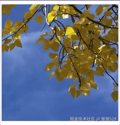 鸿蒙（api 12 Beta3版）【使用pixelmap完成图像变换】图片开发指导移动开发鸿蒙绿头鱼 Laval社区