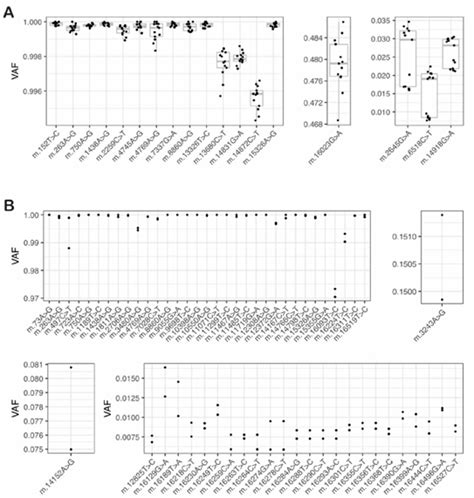 Mity A Highly Sensitive Mitochondrial Variant Analysis Pipeline For