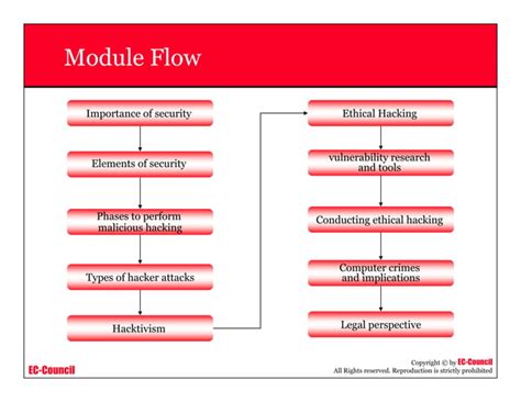Ceh V5 Module 01 Introduction To Ethical Hacking Pdf Information And Network Security