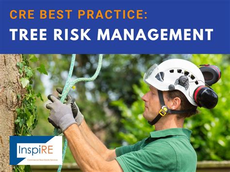 Tree Risk Management
