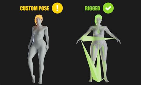 Rig Posed Or Unposed Character For Unreal Engine Or Unity By