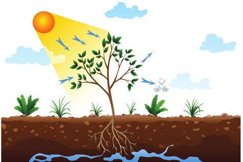 Chemical Energy Is A Form Of Which Energy Potential Energy Or Kinetic