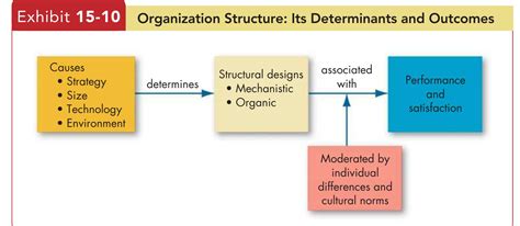 Foundation Structure Traditional Organizational Structure Design Team