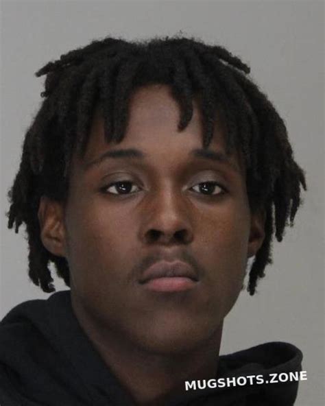 Petty Joshua 03182025 Dallas County Mugshots Zone