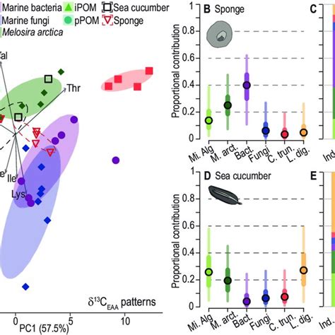 Principal Component Analysis Of The Six Individual Mean Centred δ 13 C