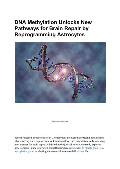 Dna Methylation Unlocks New Pathways For Brain Repair By Reprogramming