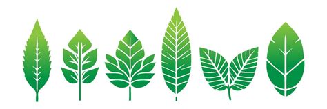 Green Leaf Icons Set Leaves Icon On Isolated Background Collection