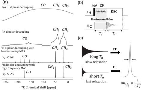 Spectral Line Shape Illustrative Effect With And Without 1 H Dipolar Download Scientific
