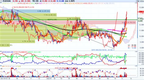 진성티이씨 주식 에펨코리아