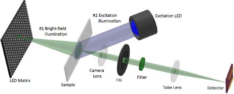 The Experimental Setup Of Joint Fpm Fluorescence Imaging The 4f Setup