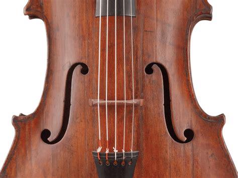 How Many Strings Does A Cello Have Teds List How Many Strings Does A Cello Have Teds List