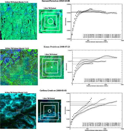 Monitoring Land Surface Albedo And Vegetation Dynamics Using High Spatial And Temporal