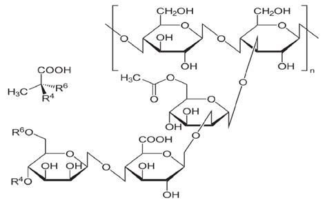 Xanthan Gums Chemical Structure Download Scientific Diagram