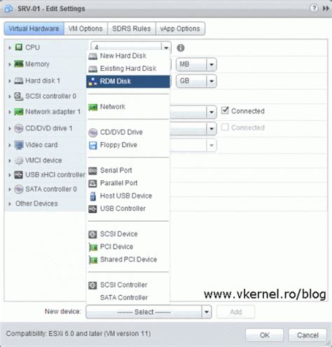 adding a raw device mapping rdm to a virtual machine