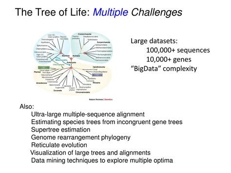 Ppt From Gene Trees To Species Trees Powerpoint Presentation Free
