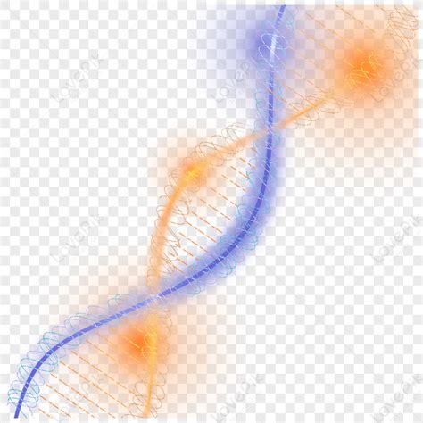 Dna Molecular Structure Two Color Light Shadow Abstract Spiral Dna Molecule Color Lights Png