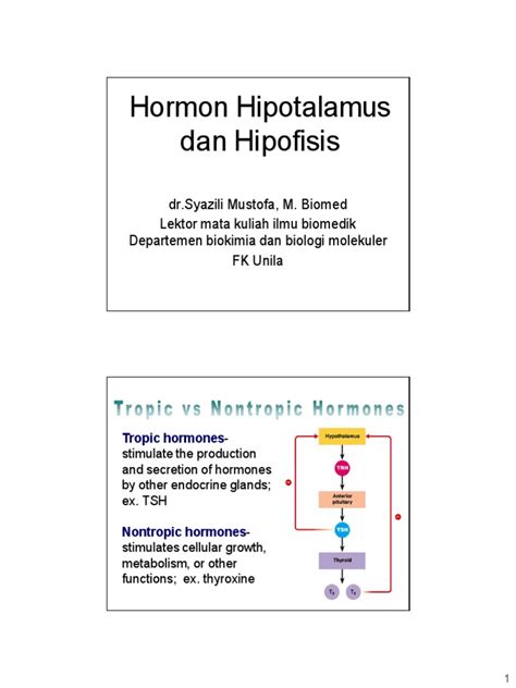 Hormon Hipotalamus Dan Hipofisis Compatibility Mode Pdf