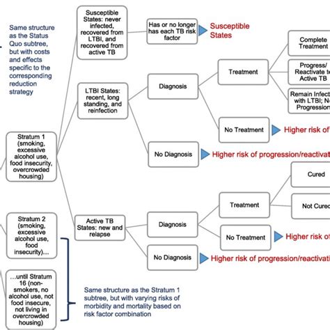 Simplified Schematic Of Decision Analysis Model Structure At The End Download Scientific