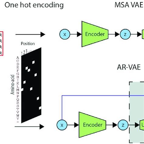 Schematic Representation Of The Input Representation And Vae Models Download Scientific Diagram