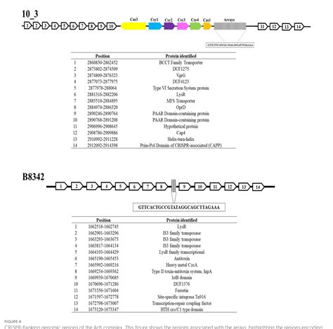 Figure 1 From A Bioinformatic Approach To Identify Confirmed And Probable Crispr Cas Systems In