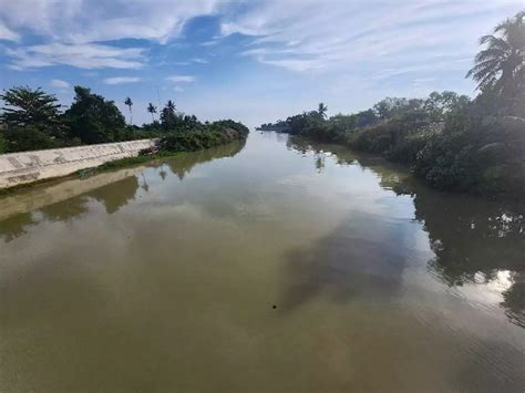 5 Tsino Arestado Lason Sa Ilog Tinatapon Saksipinas