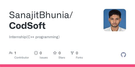 Github Sanajitbhuniacodsoft Internshipc Programming