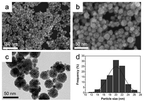 A Low Magnification Sem And B High Magnification Sem Images C