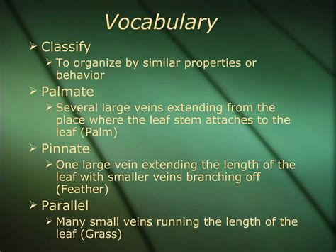 Leaf Classification Vocab Ppt